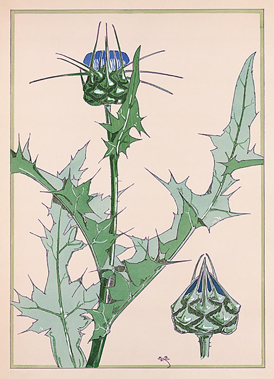 La Plante et Ses Applications and Les Fleurs Et Leurs Applications ...