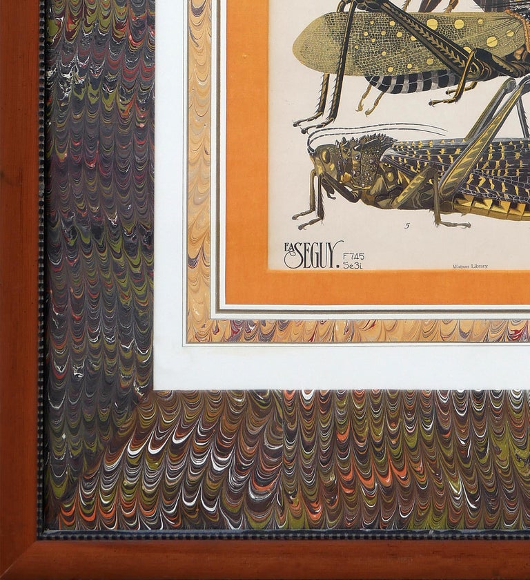 E.A. Seguy - Twentieth-Century Earth-Toned Naturalistic Pochoir Print ...