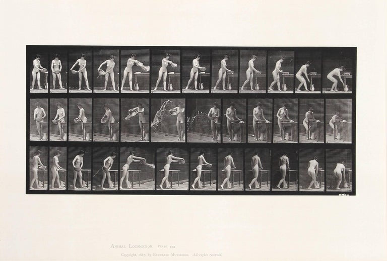 Eadweard Muybridge - "Animal Locomotion, Plate 402", Collotype by ...