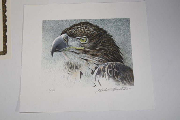 Eagle Bust Signed Limited Edition Original Lithograph by Robert Bateman ...