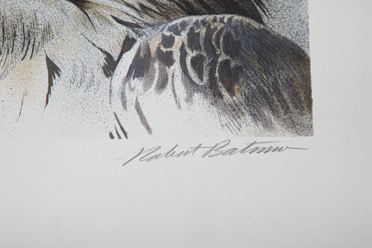 Eagle Bust Signed Limited Edition Original Lithograph by Robert Bateman ...