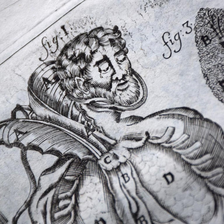 Early 18th Century Human Body Medical Book For Sale at 1stDibs
