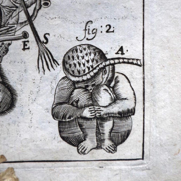 Early 18th Century Human Body Medical Book For Sale at 1stDibs