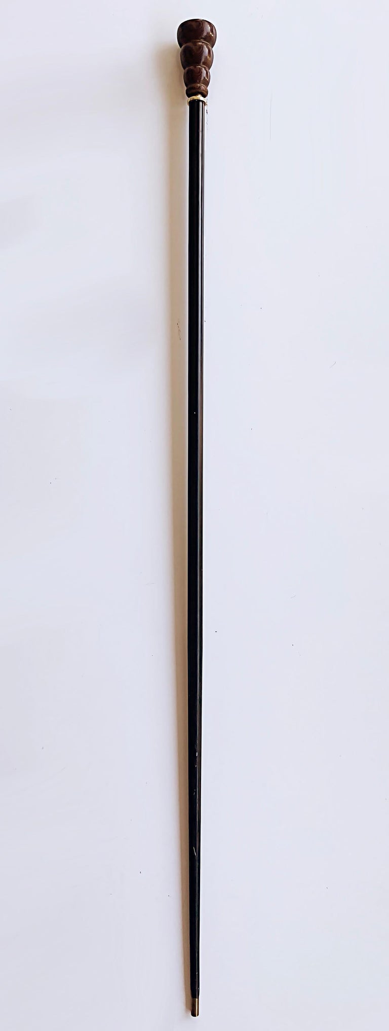 Early 1900s Czech Republic Dagger Walking Stick with Brass Lion Emblem ...