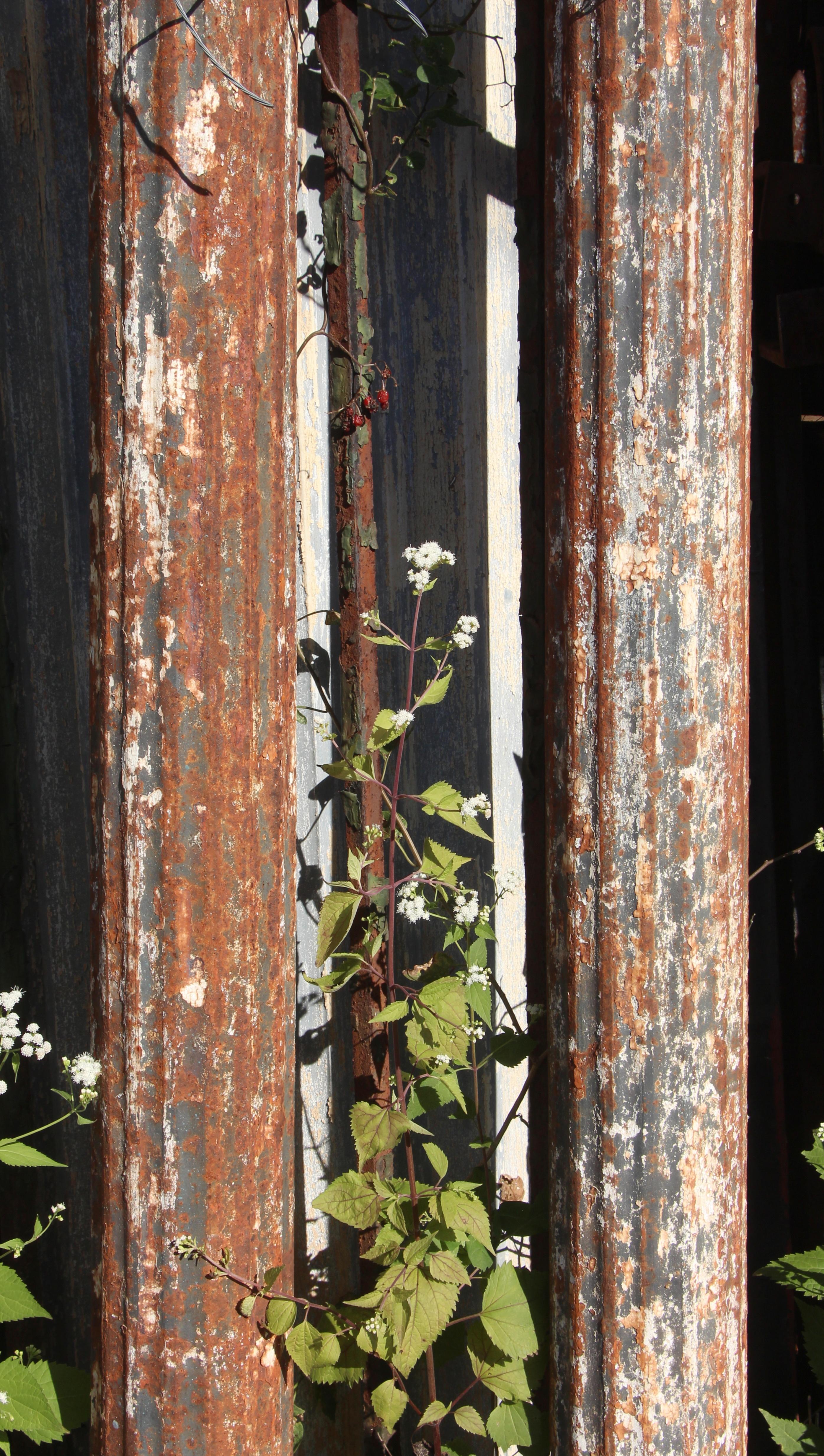 Early 1900s Pair of Fluted Cast Iron Structural Columns w/ Floral ...
