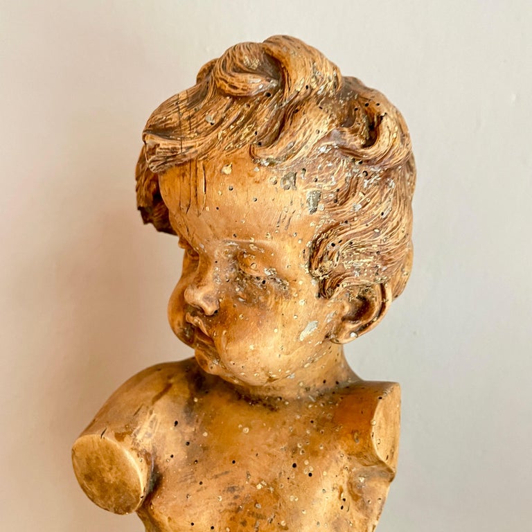 Early 19th Century Carved Angel Bust Head in Lime-Wood and Ebonized ...