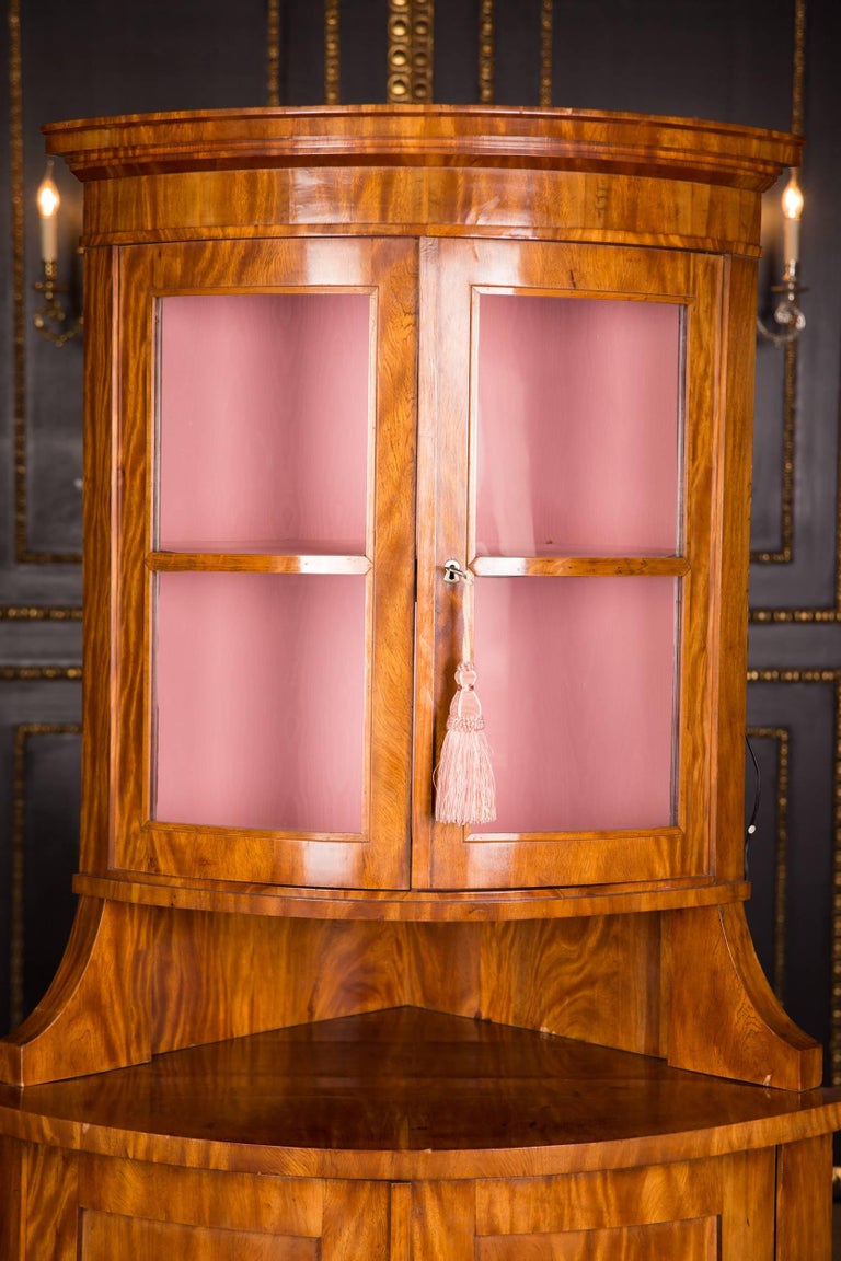 Early 19th Century Classic Biedermeier Corner Vitrine from South ...