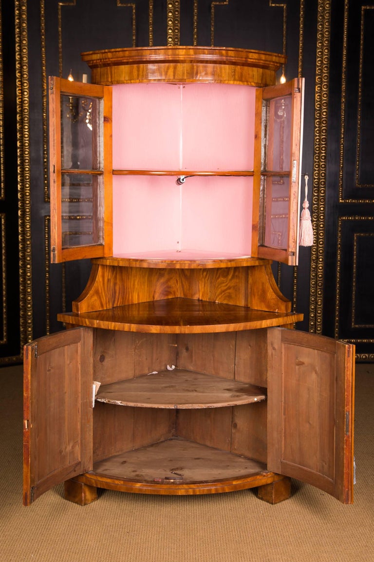 Early 19th Century Classic Biedermeier Corner Vitrine from South ...