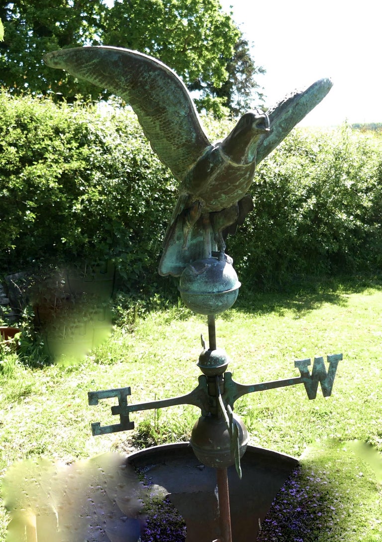 Early 19th Century Copper Eagle, Weather Vane at 1stDibs