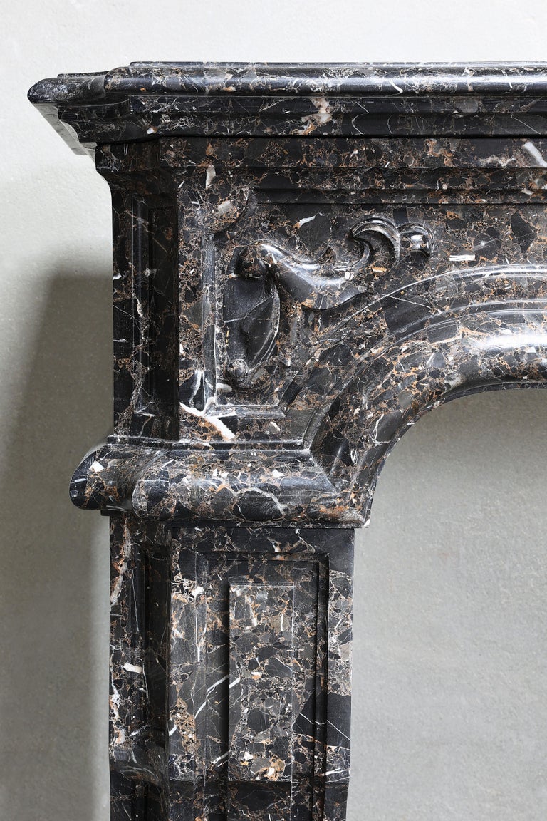 Early 19th Century Fireplace of Breche De Waulsort Marble in Style of ...