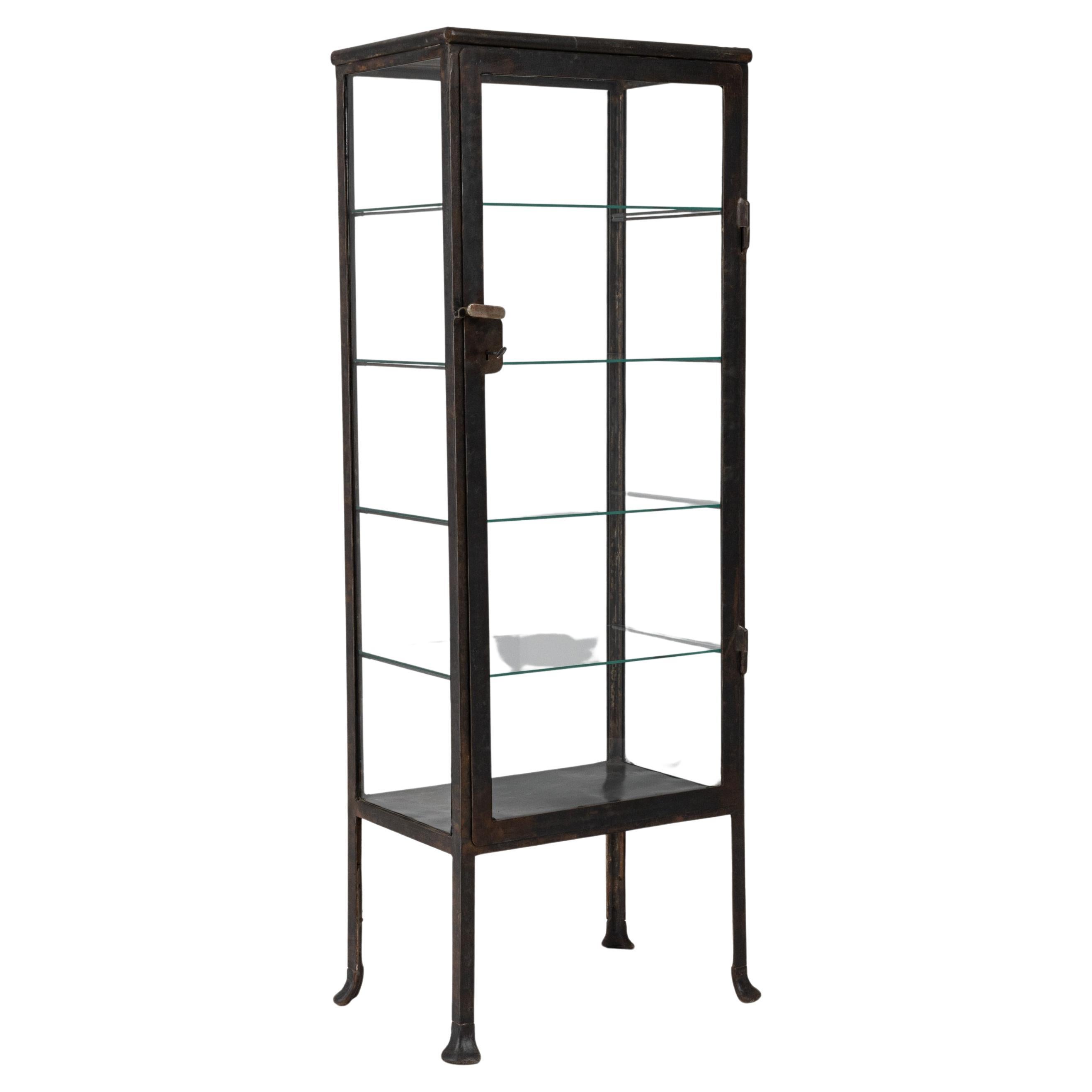 Early 19th Century French Metal Vitrine For Sale at 1stDibs