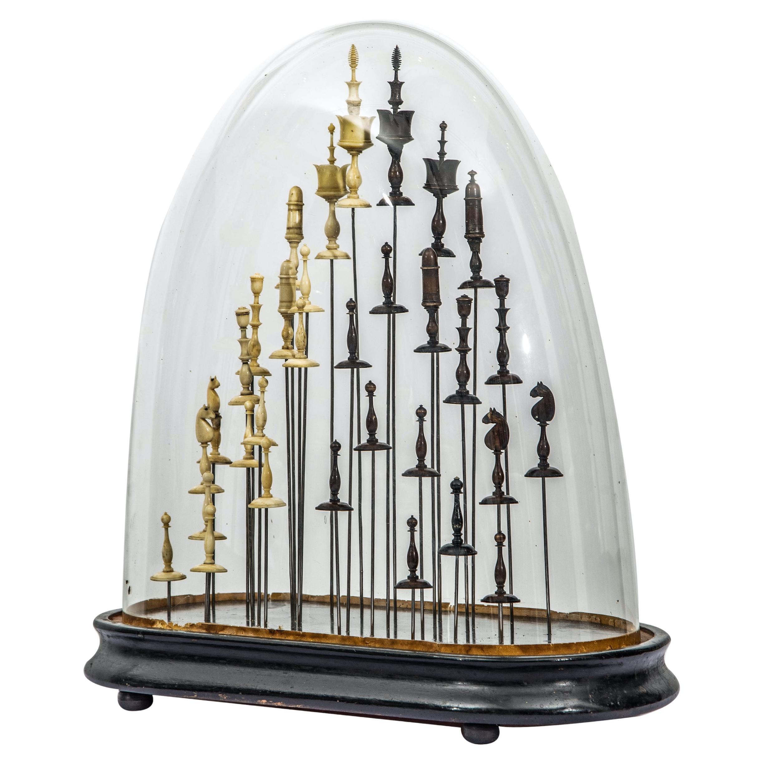 Dissected Insect under Bell Glass at 1stDibs