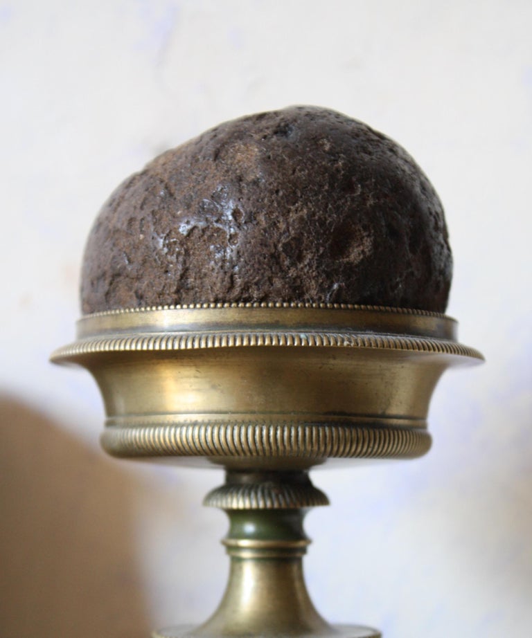 Early 19th Century Large Bezoar Curiosity Natural History Museum ...