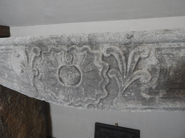 Early 19th Century Louis XV Fireplace in Grey French Basalt For Sale at ...