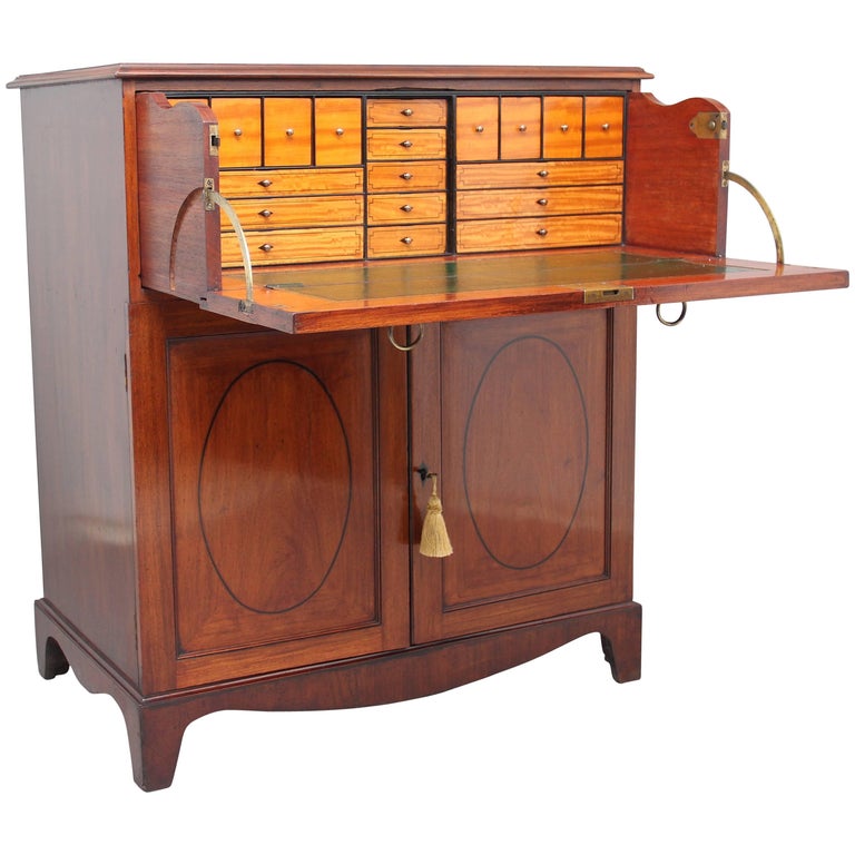 Early 19th Century Mahogany Secretaire Chest at 1stDibs
