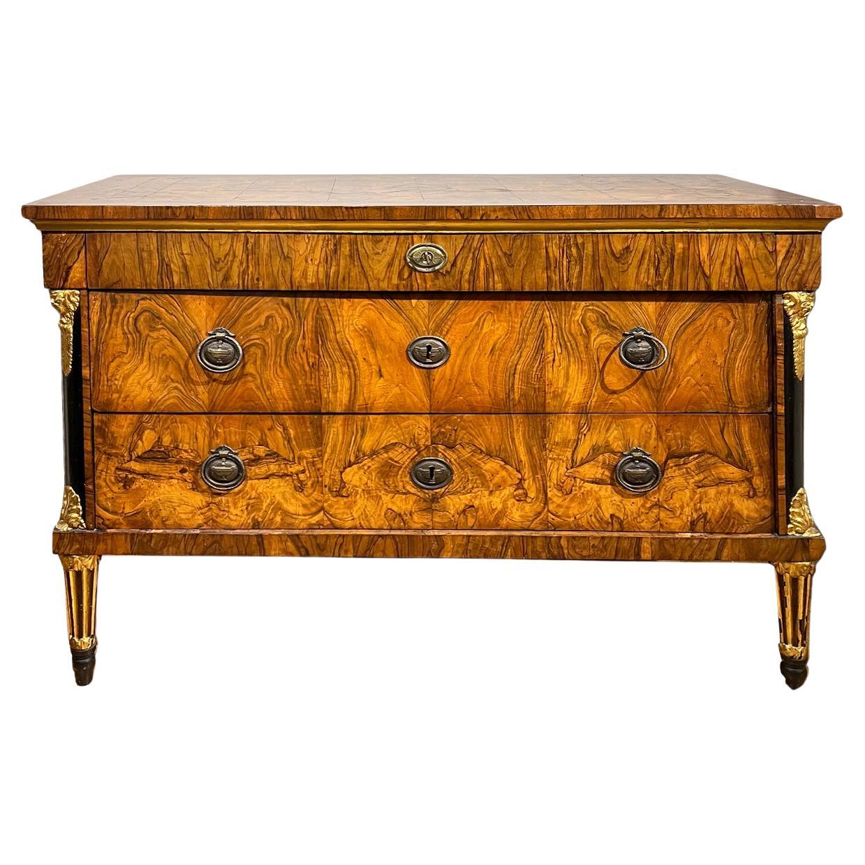Early 19th Century Neoclassical Tuscany Chest of Drawer For Sale at 1stDibs