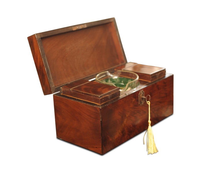 Early 19th Century Regency Period Flame Mahogany Tea Caddy Box For Sale ...