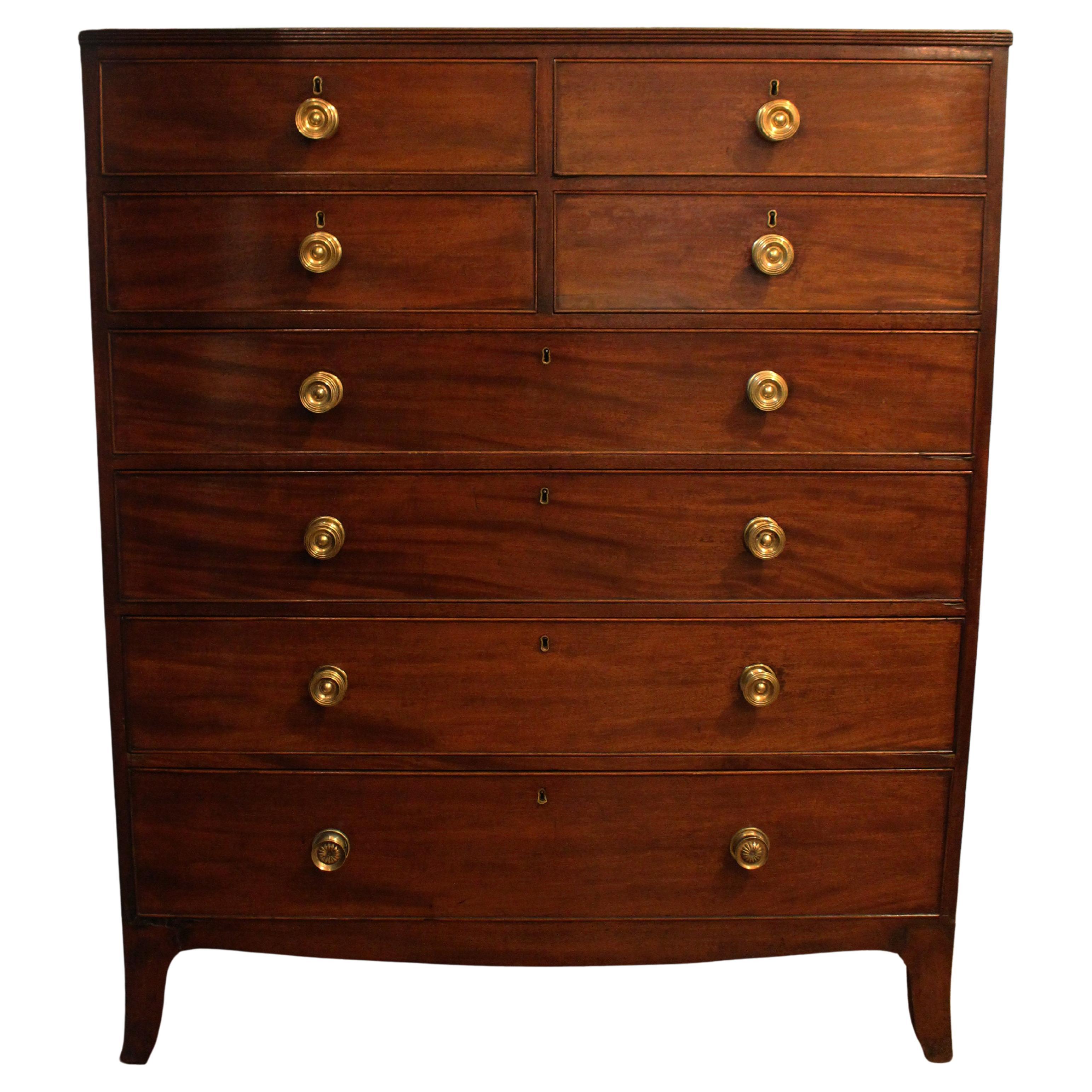 Early 19th Century Regency Tall Chest of Drawers For Sale at 1stDibs