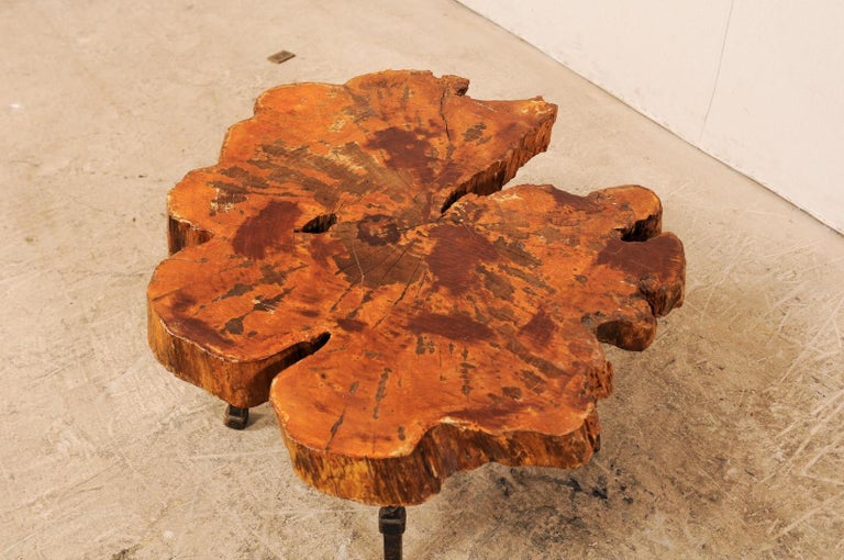 Early 19th Century Spanish Wood Slab Coffee Table with Hand Forged Iron ...
