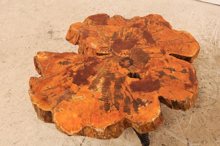 Early 19th Century Spanish Wood Slab Coffee Table with Hand Forged Iron ...