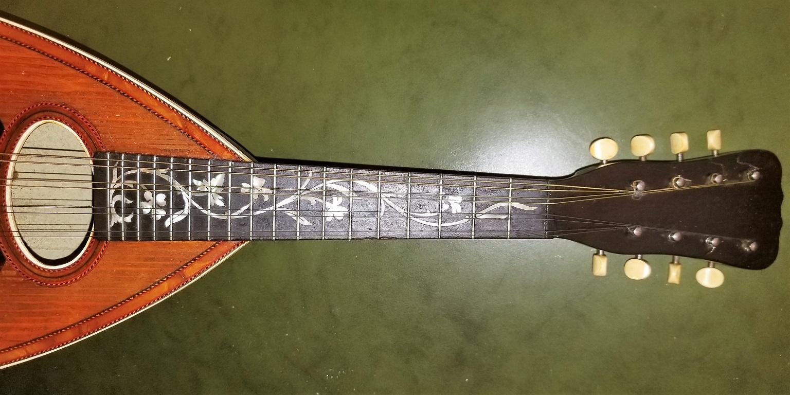 Early 20th Century Italian Mandolin with Original Case at 1stDibs ...