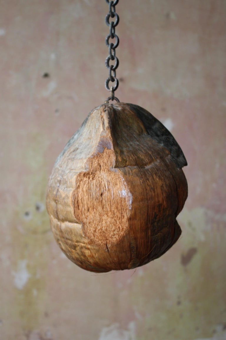 Early 20th C Curios Sailors Naval Maritime Carved and Painting Coconut ...