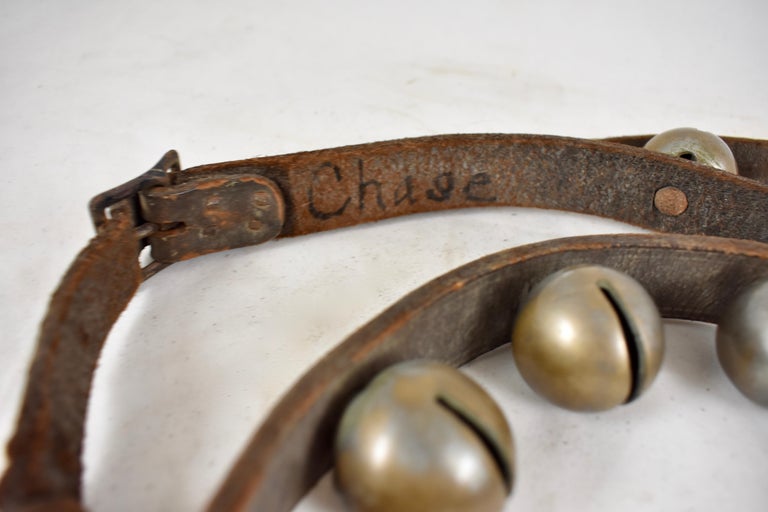 Early 20th Century Horse Parade Bells on Leather Strap, 30 Brass Bells ...