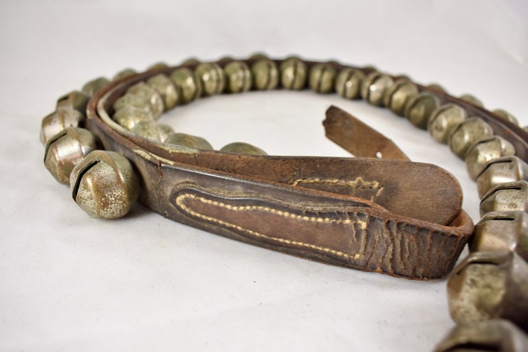 Early 20th Century Horse Parade Bells on Leather Strap, 50 Brass Bells ...