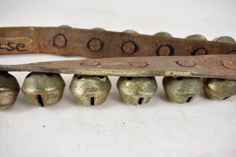 Early 20th Century Horse Parade Bells on Leather Strap, 50 Brass Bells ...