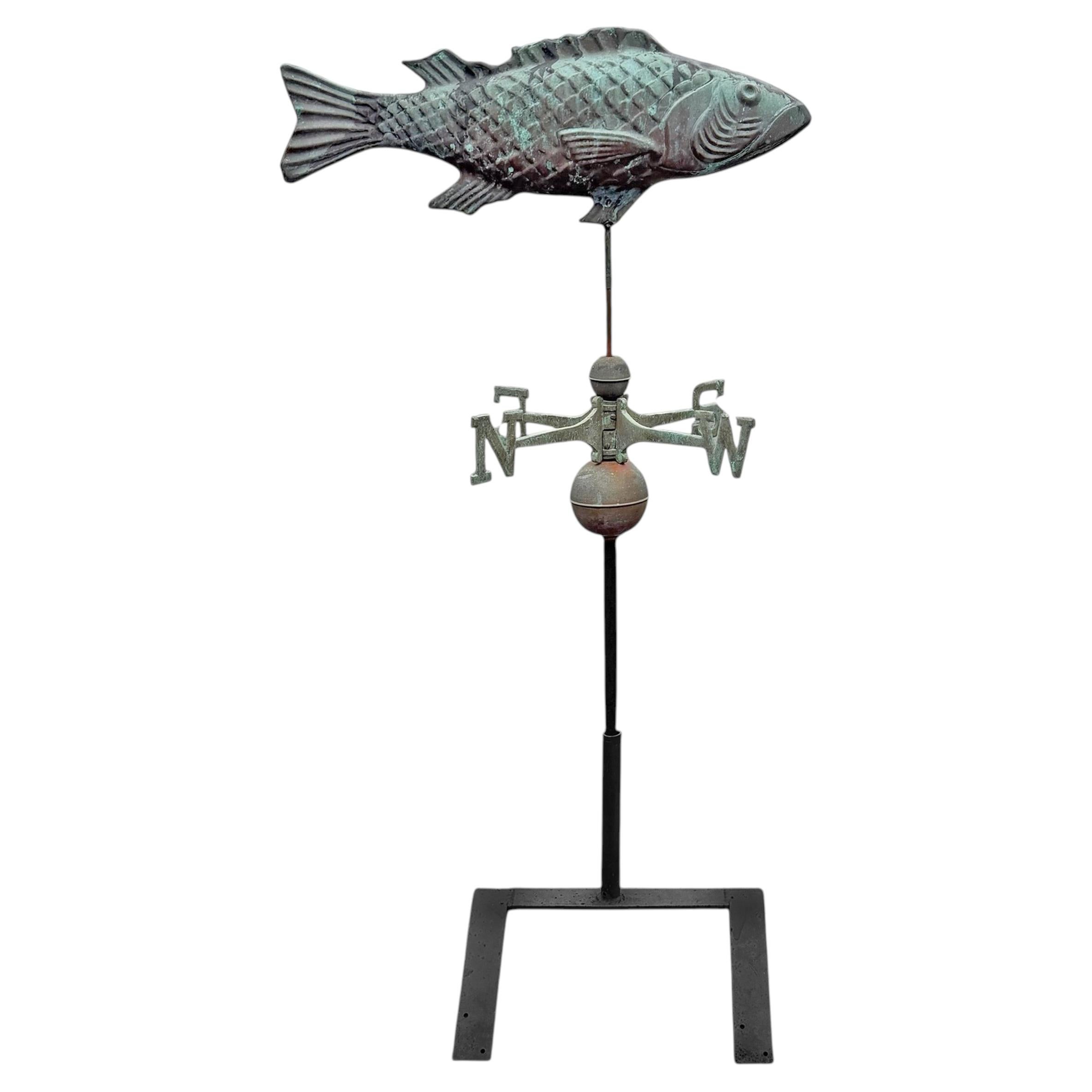 Fish Trade Sign, Rainbow Trout, Fishing Bait and Equipment For Sale at ...