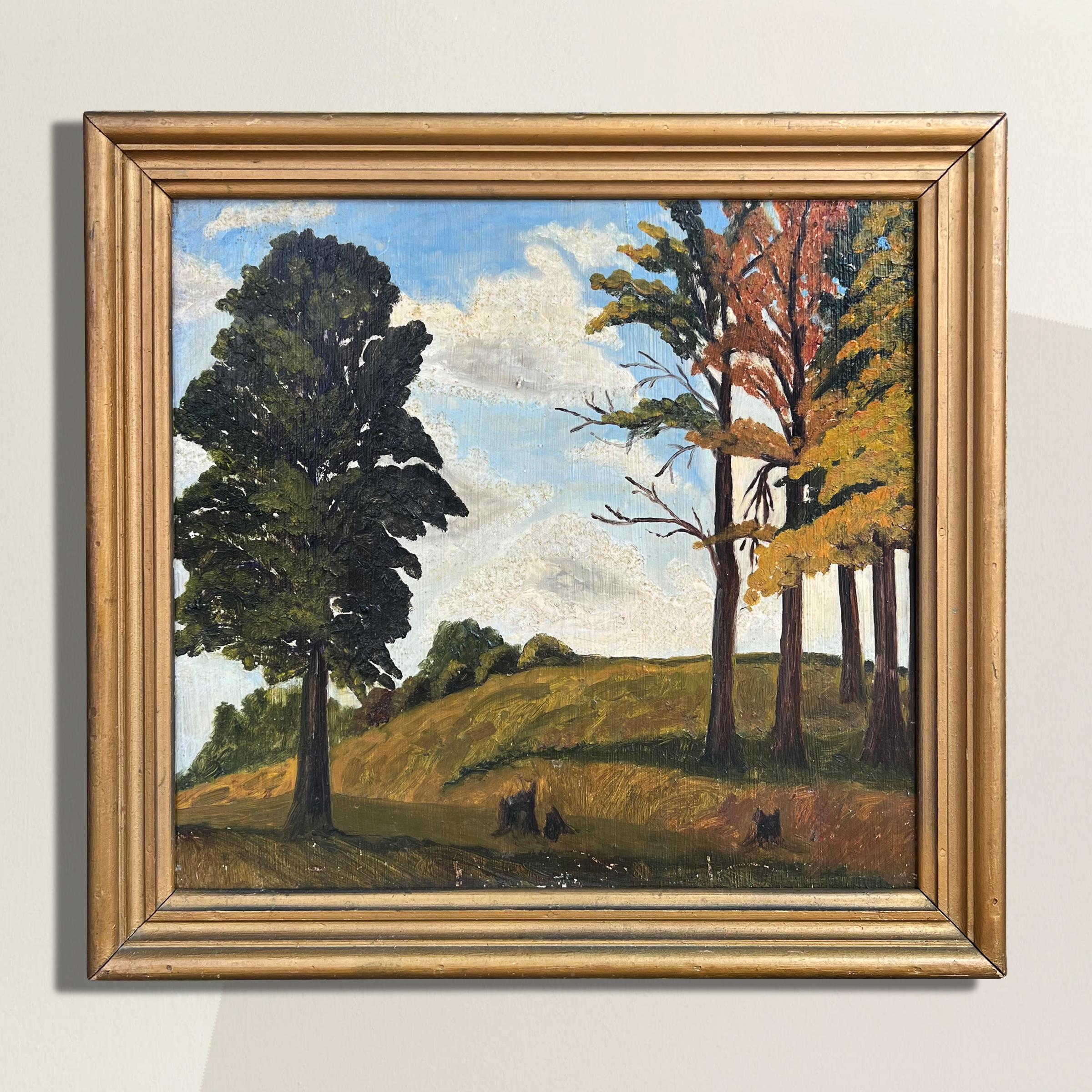 Early 20th Century American Naive Landscape Painting For Sale at 1stDibs