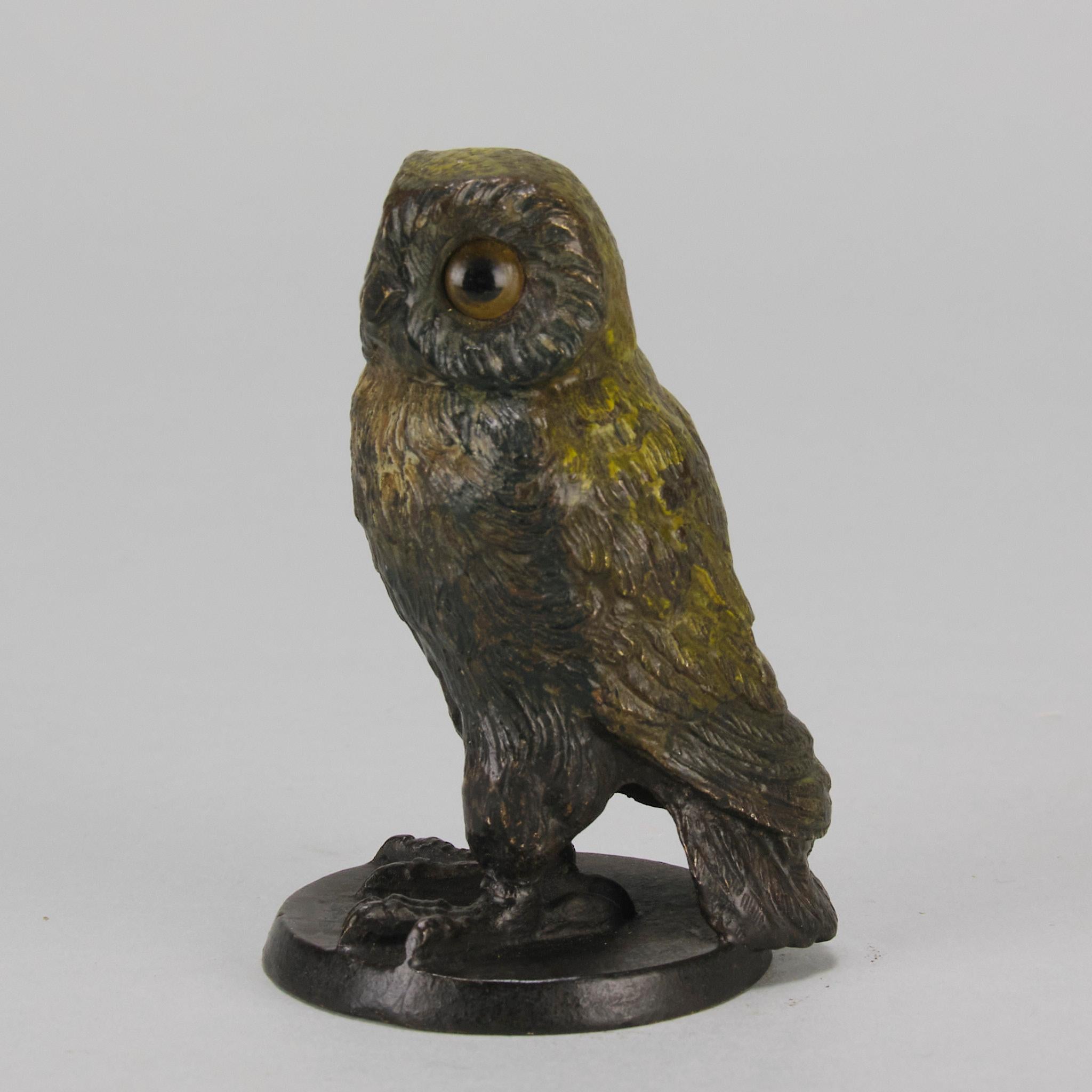 Early 20th Century Austrian Cold-Painted Bronze "Owl" For Sale at 1stDibs