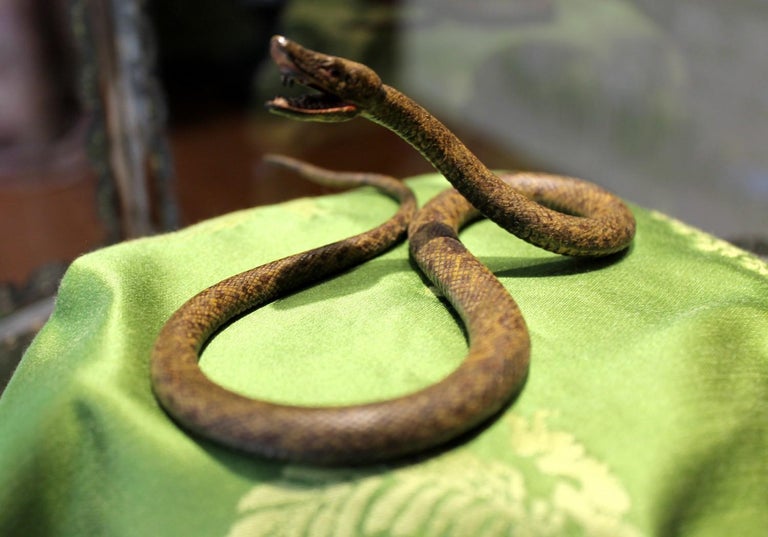 Early 20th Century Austrian Cold-Painted Vienna Bronze Snake Sculpture ...