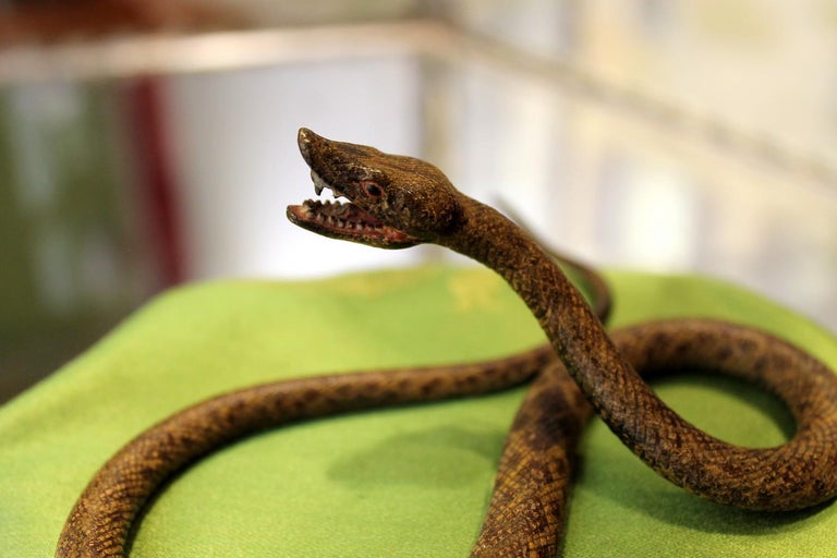 Early 20th Century Austrian Cold-Painted Vienna Bronze Snake Sculpture ...