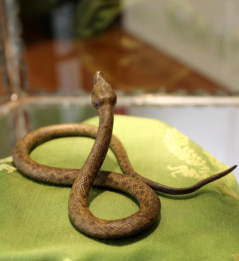Early 20th Century Austrian Cold-Painted Vienna Bronze Snake Sculpture ...