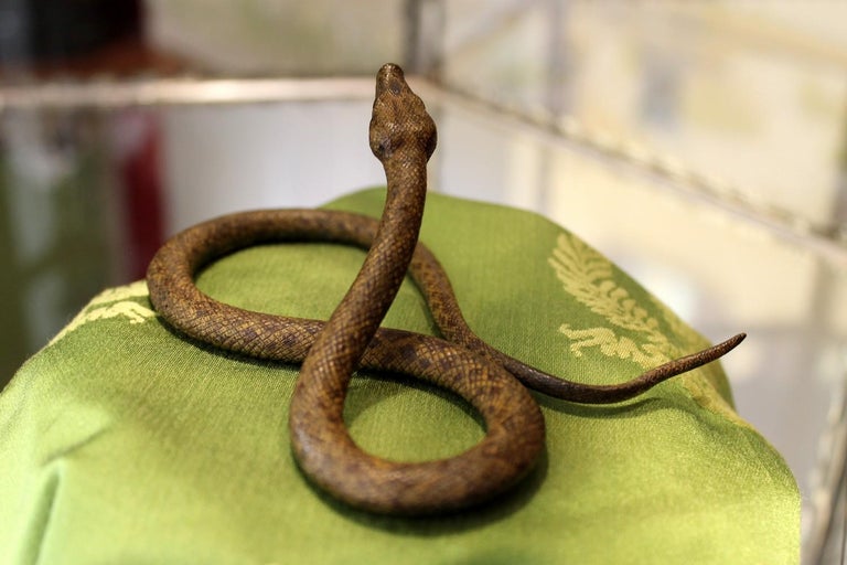 Early 20th Century Austrian Cold-Painted Vienna Bronze Snake Sculpture ...