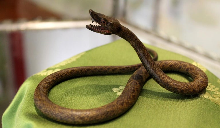 Early 20th Century Austrian Cold-Painted Vienna Bronze Snake Sculpture ...