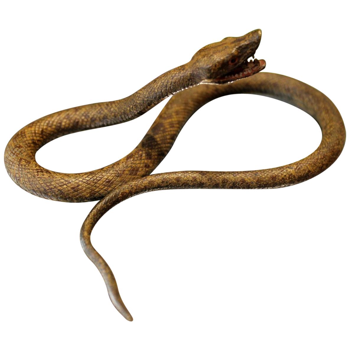 Early 20th Century Austrian Cold-Painted Vienna Bronze Snake Sculpture ...