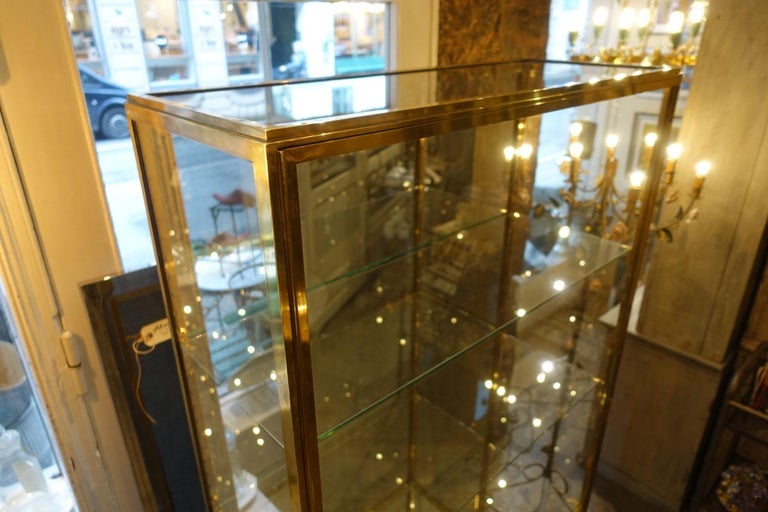 Early 20th Century Brass and Glass French Display Cabinet at 1stDibs