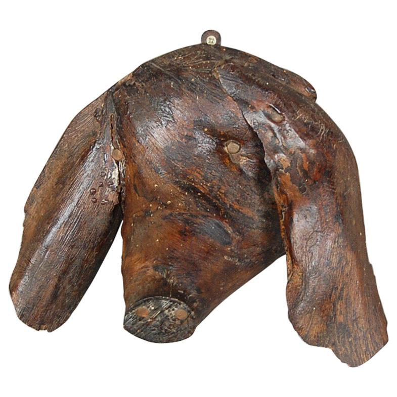 Early 20th Century Characterful Naturalistic Wood Butchers Pig Display ...