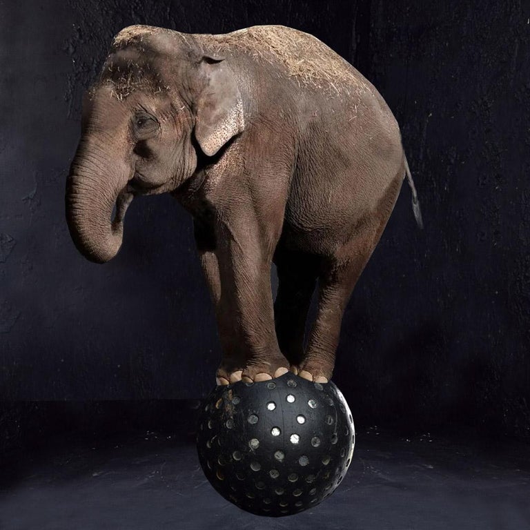 Early 20th Century, Circus Balancing Balls For Sale at 1stDibs