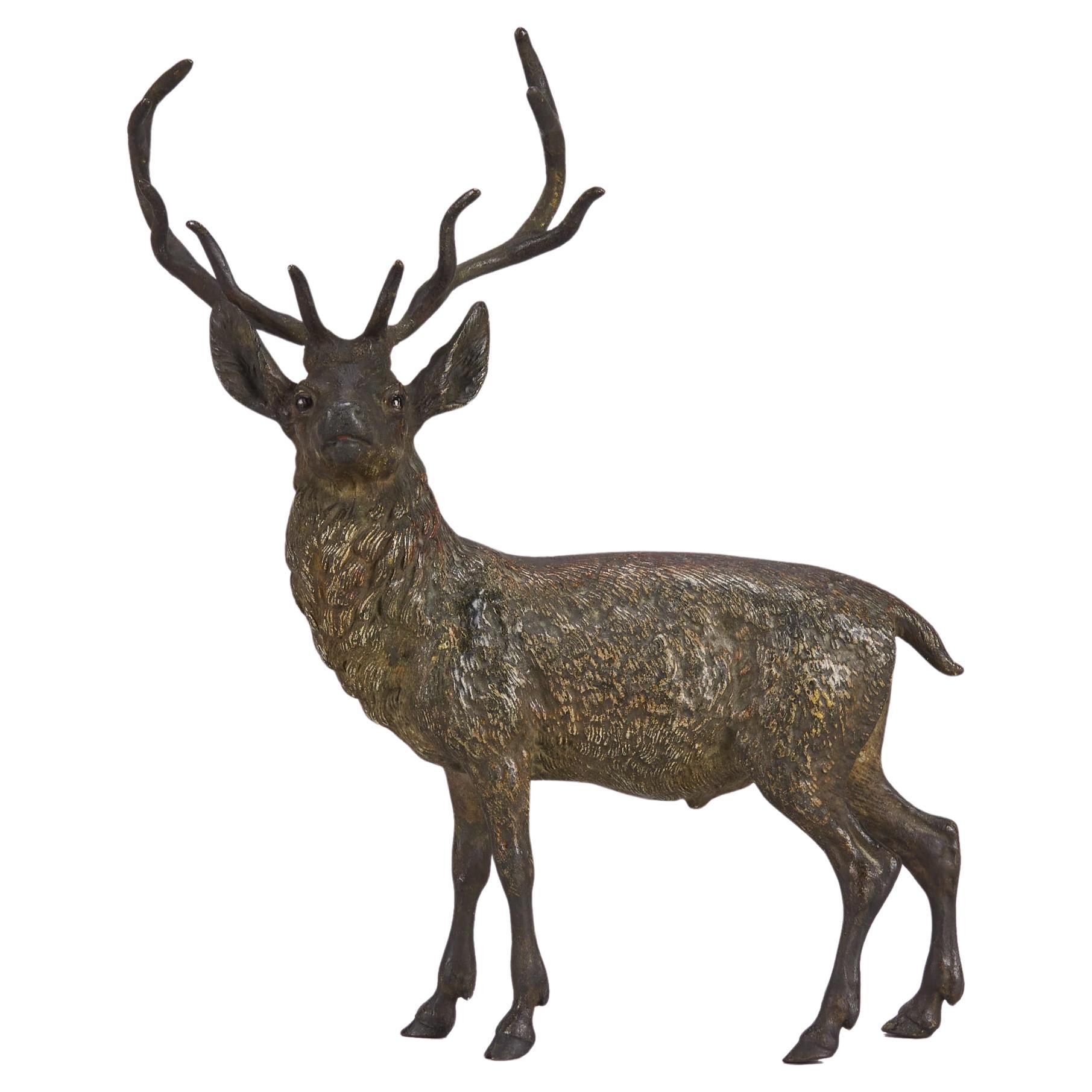 Early 20th Century Cold-Painted Bronze Entitled "Starling" by Franz ...