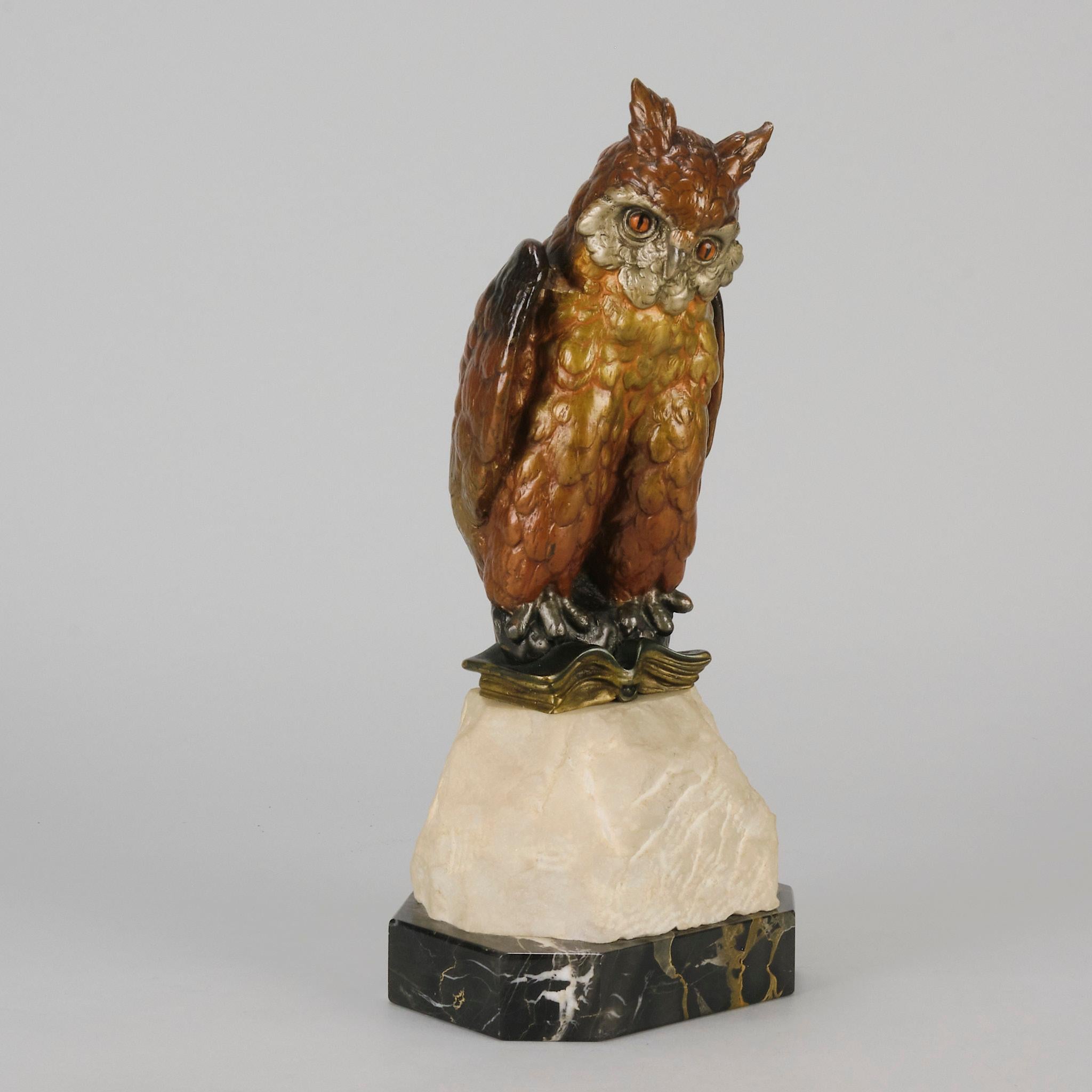 Early 20th Century Cold Painted Bronze 'Owl' by Franz Bergman For Sale ...