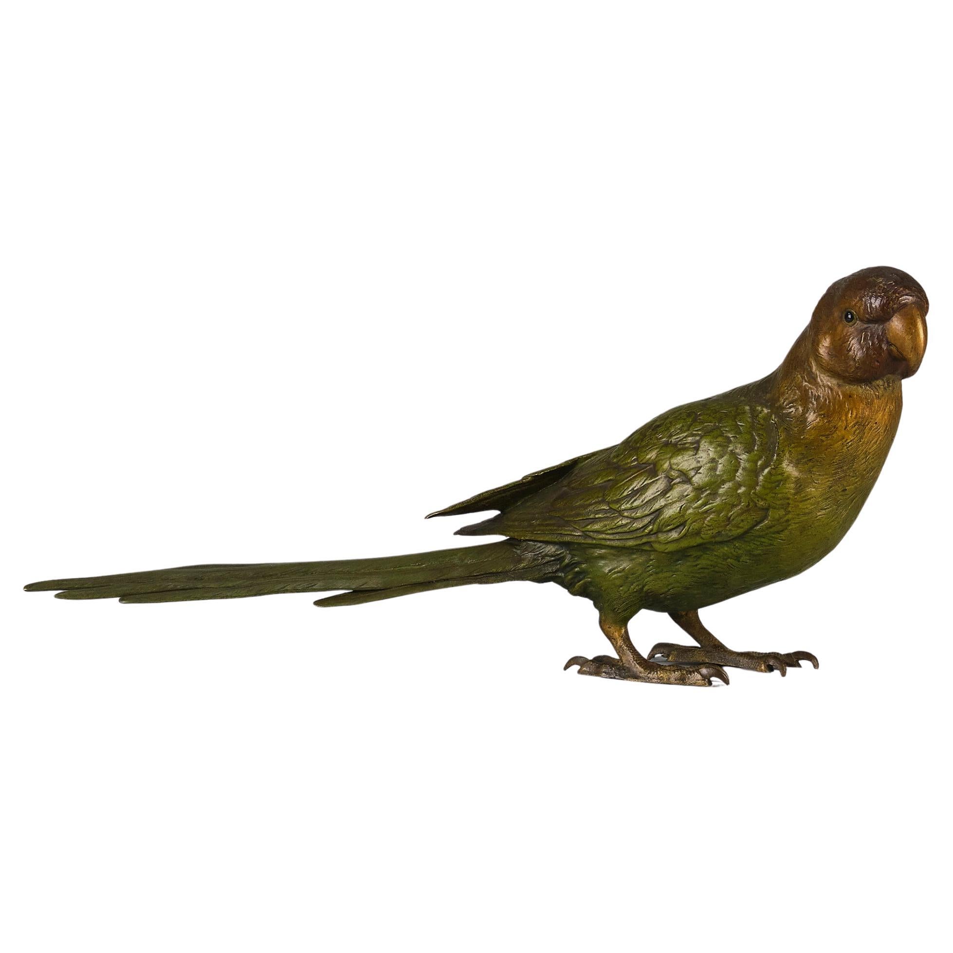 Early 20th Century Cold-Painted Bronze "Parrot" by Franz Bergman For ...