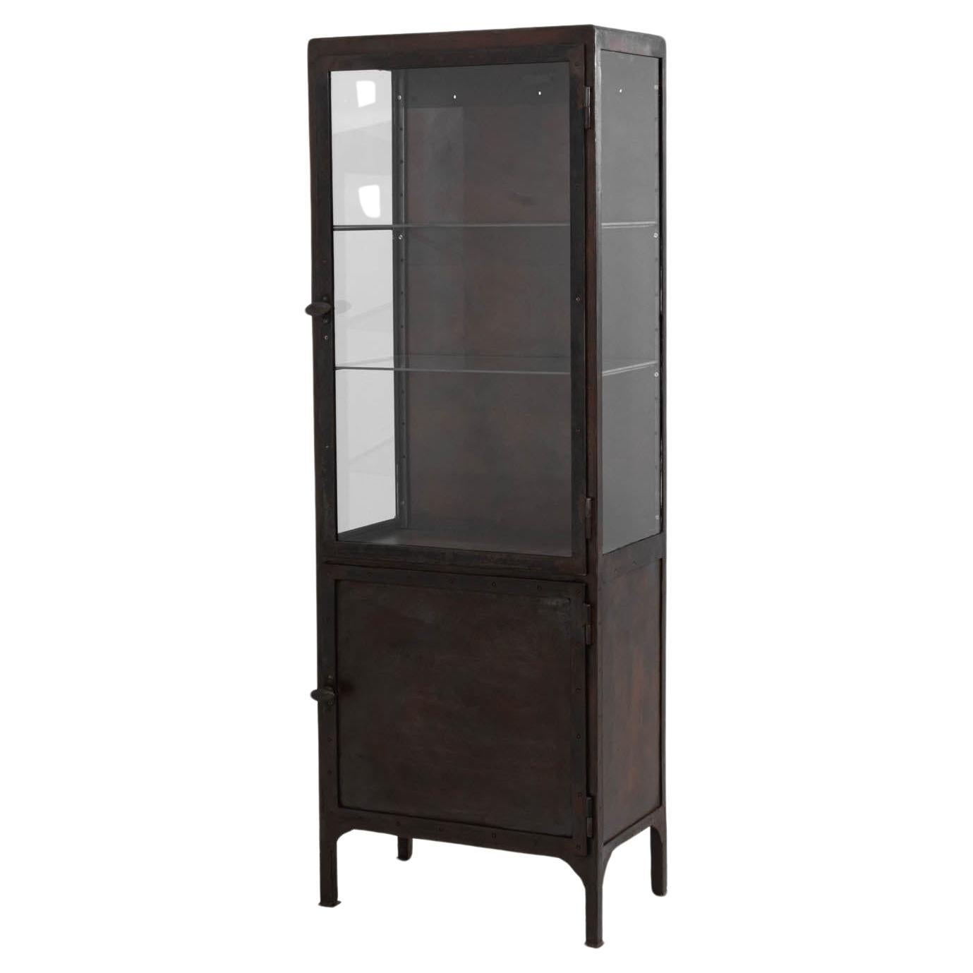 Early 20th Century Museum Wall Vitrine from Barcelona's Natural Science ...