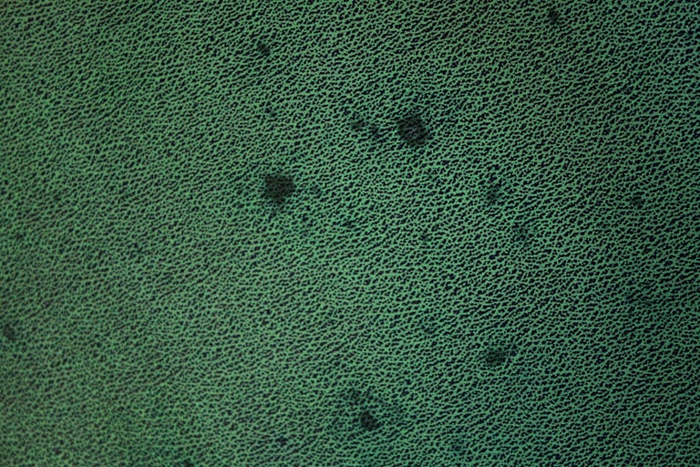 Early 20th Century Faux Animal Skins, Jewelers Paper Shagreen, Stingray ...