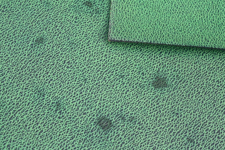 Early 20th Century Faux Animal Skins, Jewelers Paper Shagreen, Stingray ...