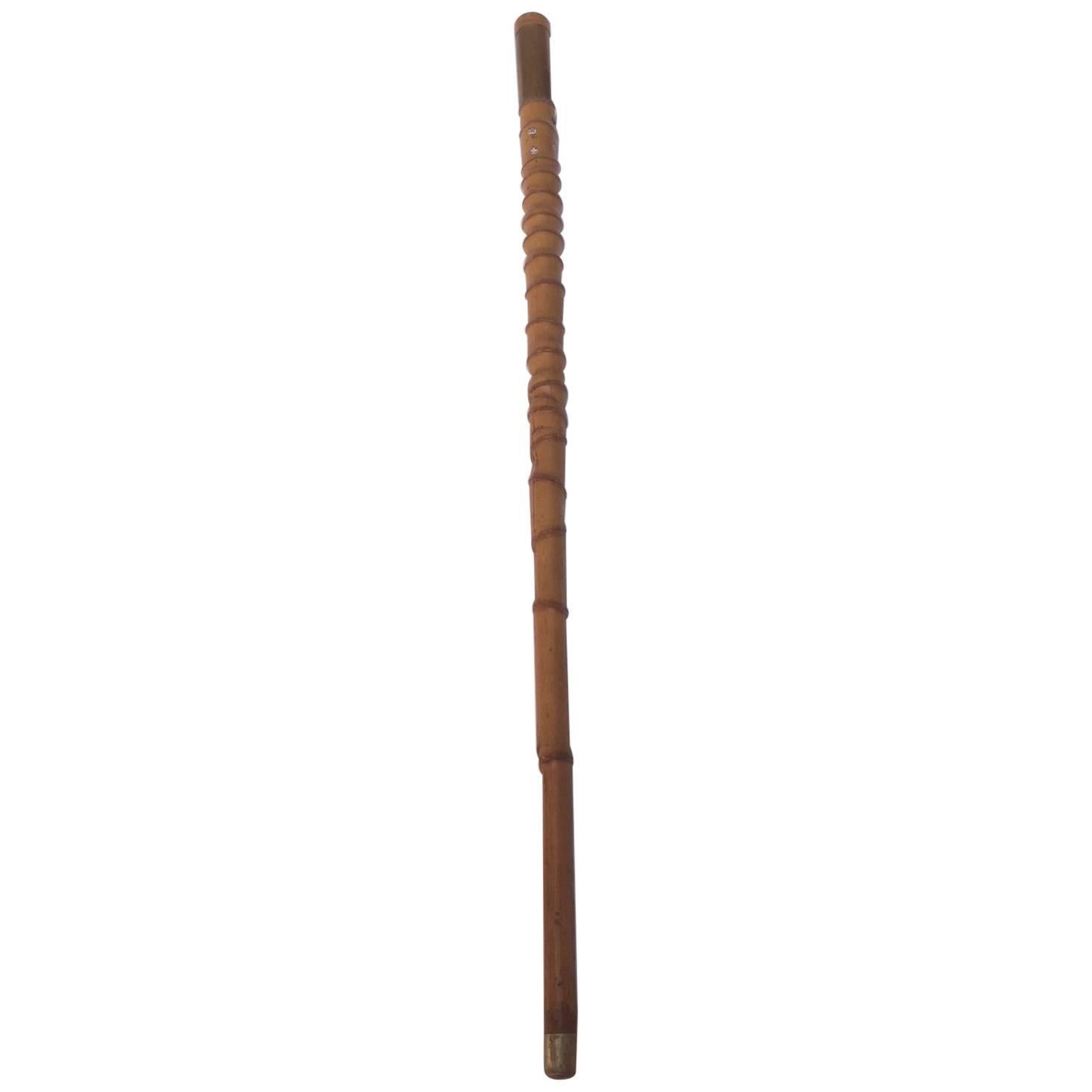 Early 20th Century, French Bamboo and Gilded Brass Gamble Cane For Sale ...