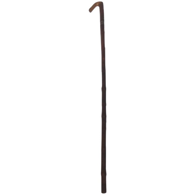 Early 20th Century, French Bamboo Dagger Cane at 1stDibs