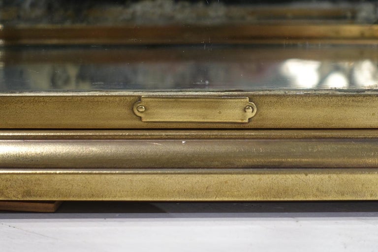 Early 20th Century, French Brass Display Cabinet at 1stDibs